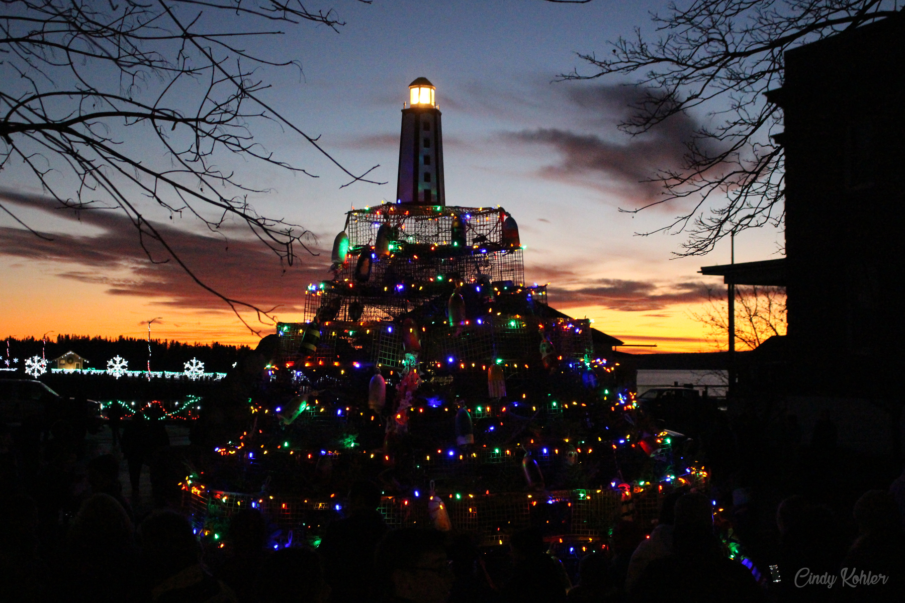 Downtown Tree Lighting - Christmas By the Sea St. Andrews NB